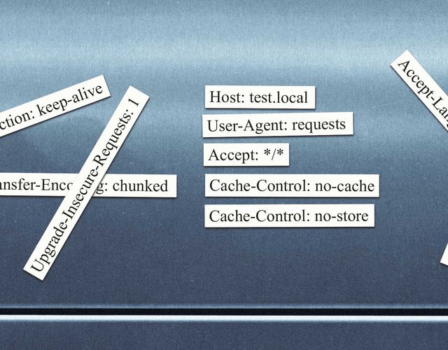 Full Control Over HTTP Res Headers In Python Using The Res 